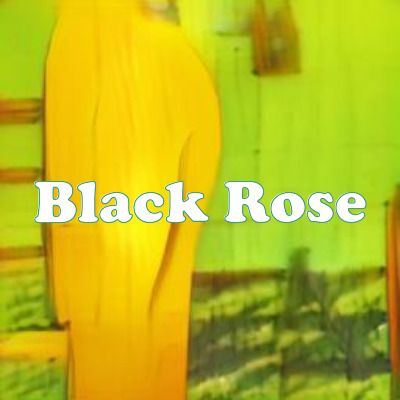 Black Rose Strain, Weed Strain, Cannabis Info 2021 | Strain Review