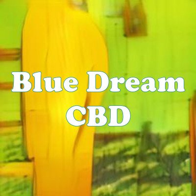 Blue Dream CBD Strain, Weed Strain, Cannabis Info 2021 | Strain Review