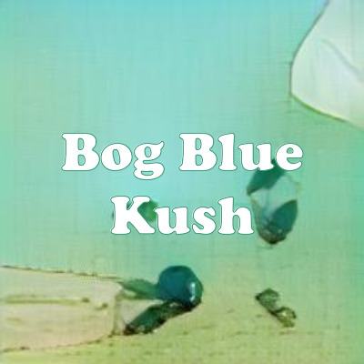 Bog Blue Kush Strain, Weed Strain, Cannabis Info 2021 | Strain Review