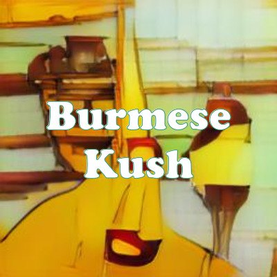 Burmese Kush Strain, Weed Strain, Cannabis Info 2021 | Strain Review
