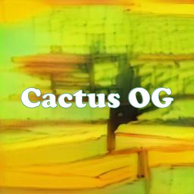 Cactus OG Strain, Weed Strain Review, Cannabis Info 2021 | Strain Review