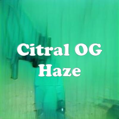 Citral OG Haze Strain, Weed Strain, Cannabis Info 2021 | Strain Review
