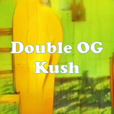 Double OG Kush Strain, Weed Strain, Cannabis Info 2021 | Strain Review