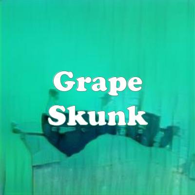 Grape Skunk Strain, Weed Strain, Cannabis Info 2021 | Strain Review