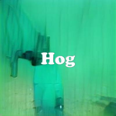 Hog Strain, Weed Strain Review, Cannabis Info 2021 | Strain Review