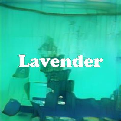 Lavender Strain, Weed Strain Review, Cannabis Info 2021 | Strain Review