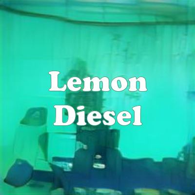 Lemon Diesel Strain, Weed Strain, Cannabis Info 2021 | Strain Review