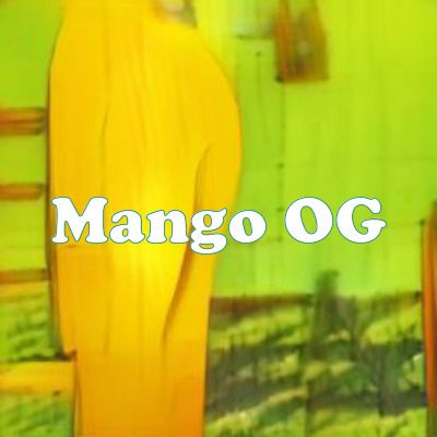 Mango OG Strain, Weed Strain Review, Cannabis Info 2021 | Strain Review