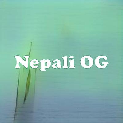 Nepali OG Strain, Weed Strain Review, Cannabis Info 2021 | Strain Review