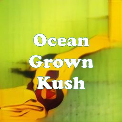 Ocean Grown Kush Strain, Weed Strain, Cannabis Info 2021 | Strain Review