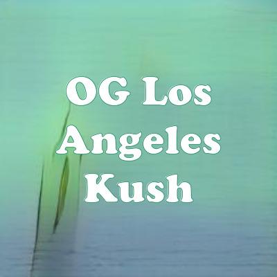 OG Los Angeles Kush Strain, Weed Strain, Cannabis Info 2021 | Strain Review