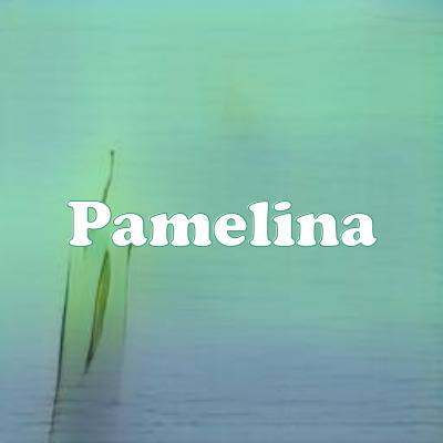 Pamelina Strain, Weed Strain Review, Cannabis Info 2021 | Strain Review