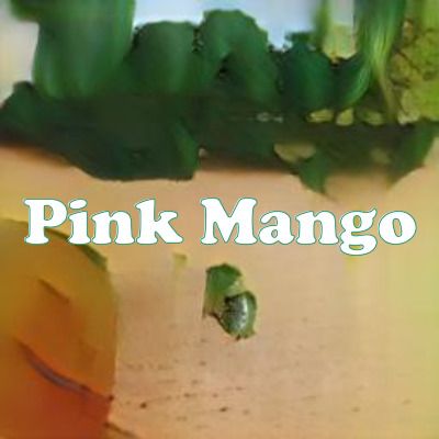 Pink Mango Strain, Weed Strain, Cannabis Info 2021 | Strain Review