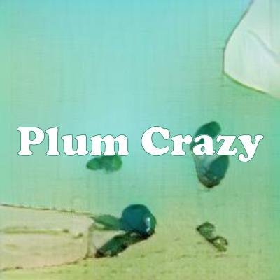 Plum Crazy Strain, Weed Strain, Cannabis Info 2021 | Strain Review