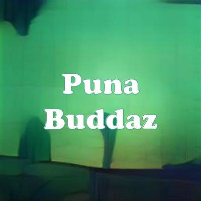 Puna Buddaz Strain, Weed Strain, Cannabis Info 2021 | Strain Review