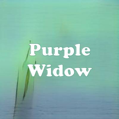Purple Widow Strain, Weed Strain, Cannabis Info 2021 | Strain Review