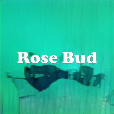 Rose Bud Strain, Weed Strain Review, Cannabis Info 2021 | Strain Review