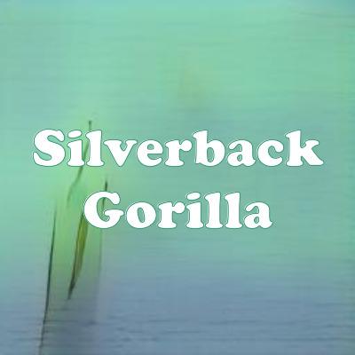 Silverback Gorilla Strain, Weed Strain, Cannabis Info 2021 | Strain Review