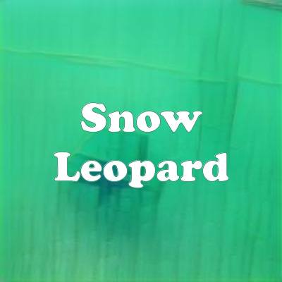 Snow Leopard Strain, Weed Strain, Cannabis Info 2021 | Strain Review