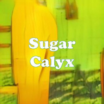 Sugar Calyx Strain, Weed Strain, Cannabis Info 2021 | Strain Review