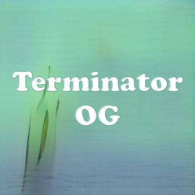 Terminator OG Strain, Weed Strain, Cannabis Info 2021 | Strain Review