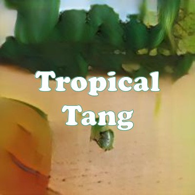 Tropical Tang Strain, Weed Strain, Cannabis Info 2021 | Strain Review