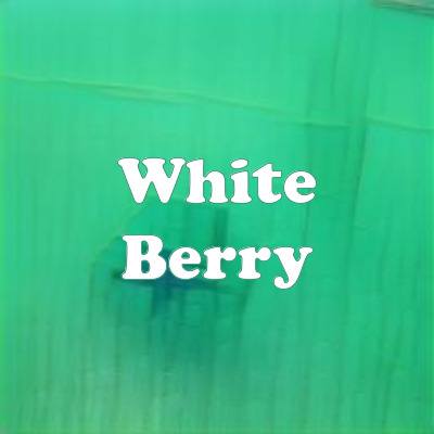 White Berry Strain, Weed Strain, Cannabis Info 2021 | Strain Review