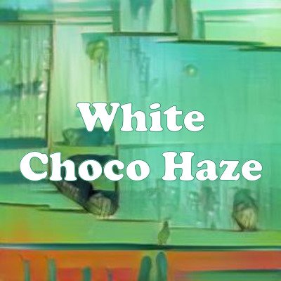 White Choco Haze Strain, Weed Strain, Cannabis Info 2021 | Strain Review